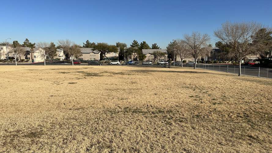 Rent Field - Softball in Las Vegas