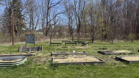 Rent Outdoor Area in Amherst