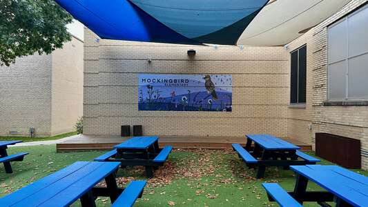 Rent Courtyard in Dallas