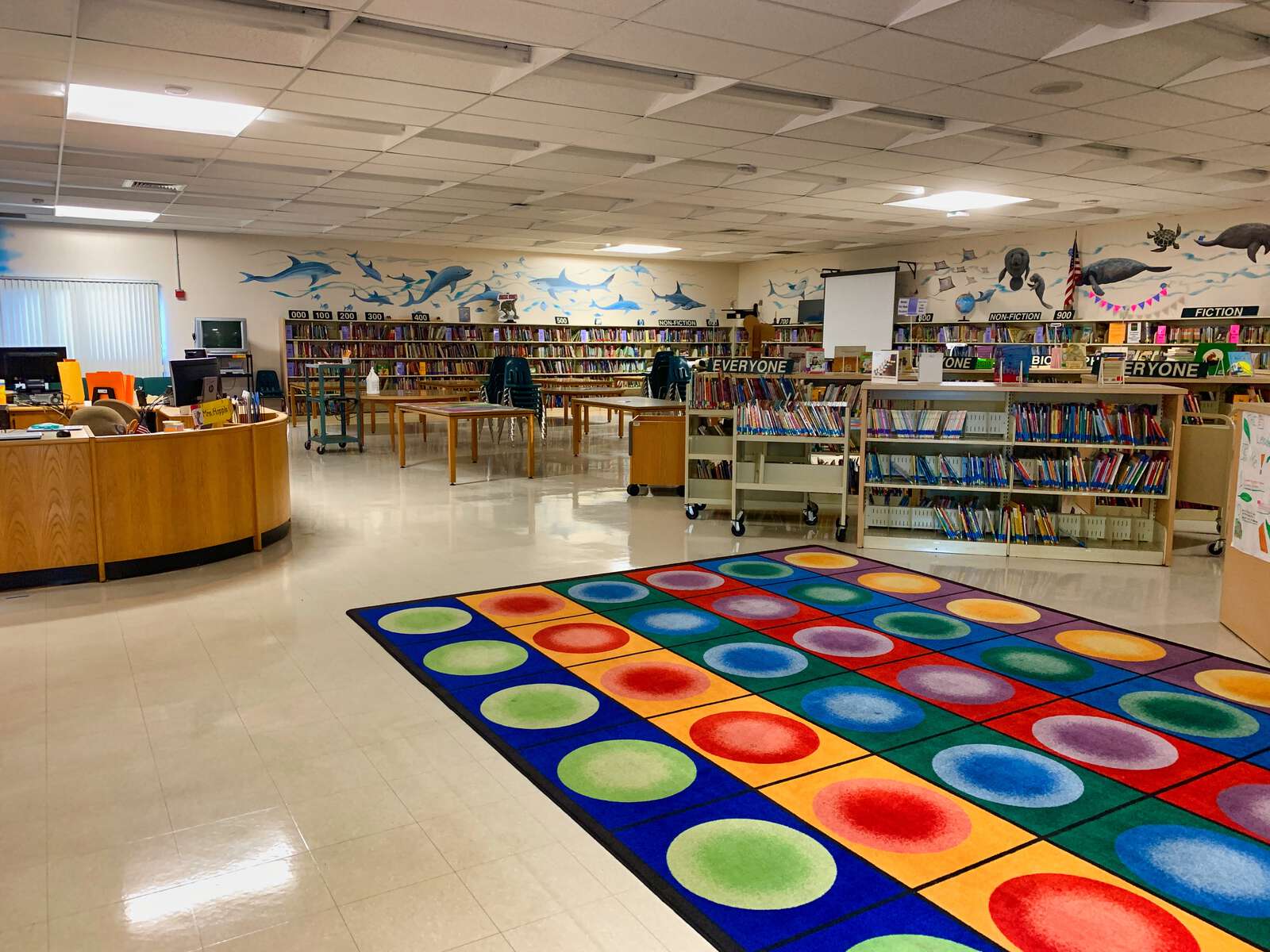 Rent a Library (Small) in Seffner FL 33584