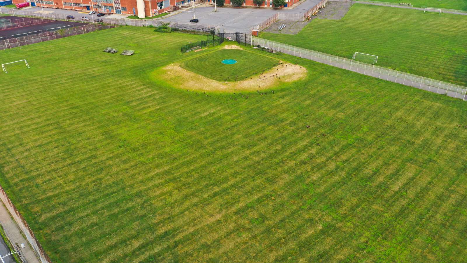 Rent a Field (Baseball) in Philadelphia PA 19116